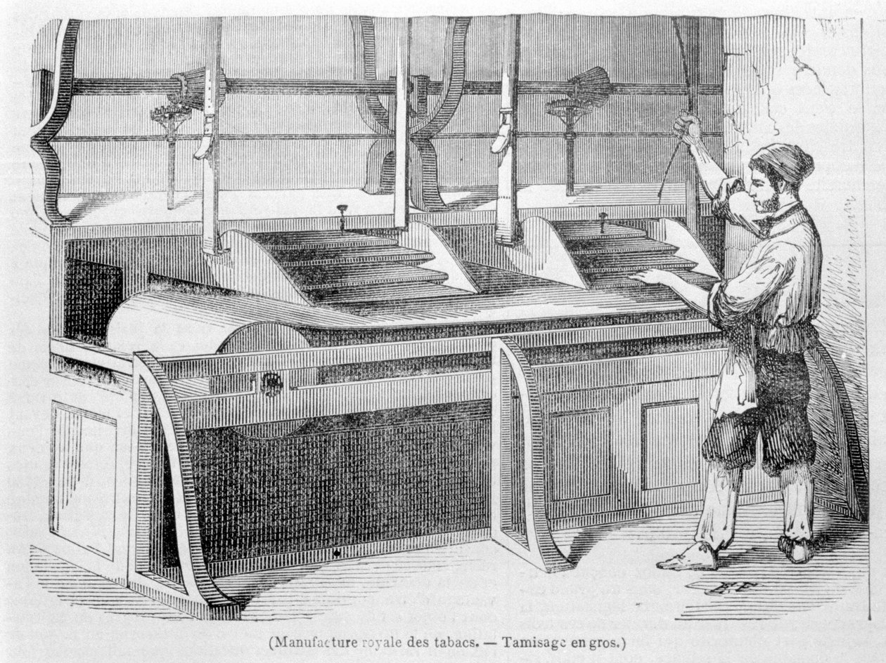 Tarot Reading: Don Gately ‣ The Mirror of Sienna